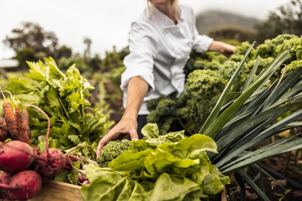 The Benefits of a Seasonal Restaurant Menu & How to Implement One ...