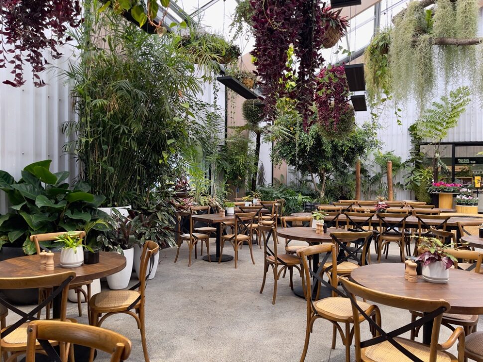 5 Restaurant Gimmicks to Create a Unique Experience